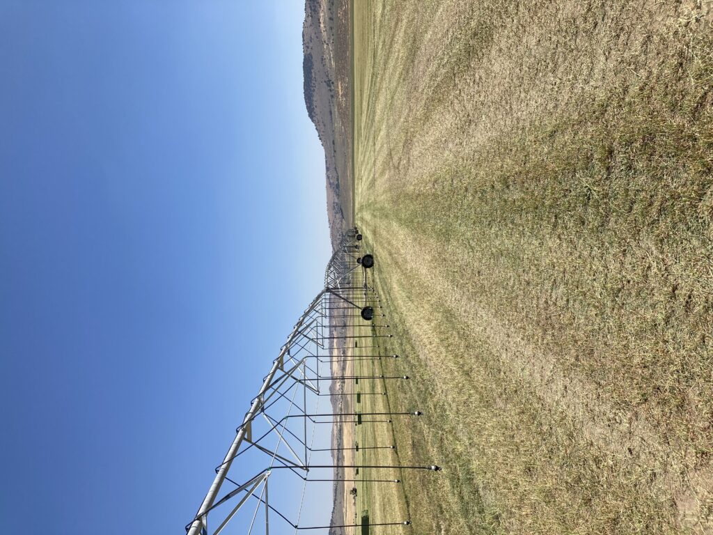 Harney Basin Groundwater Rules Advisory Committee – Oregon Consensus